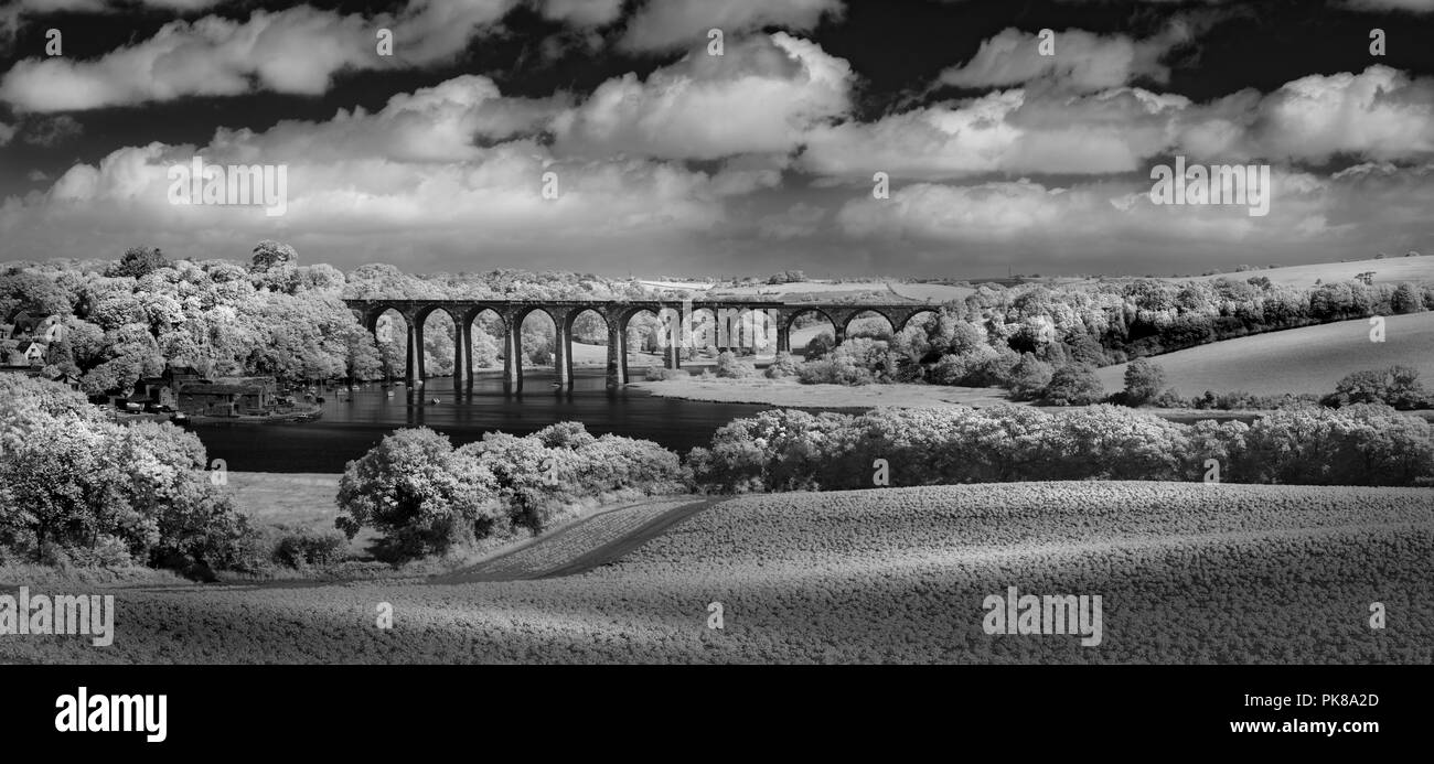 Tiddy hi-res stock photography and images - Alamy