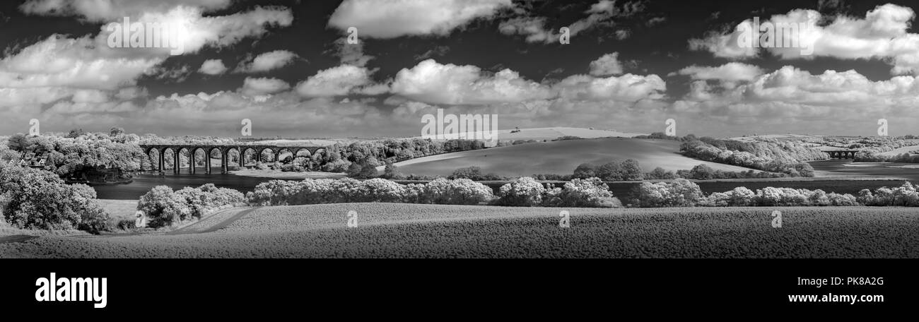 Tiddy hi-res stock photography and images - Alamy