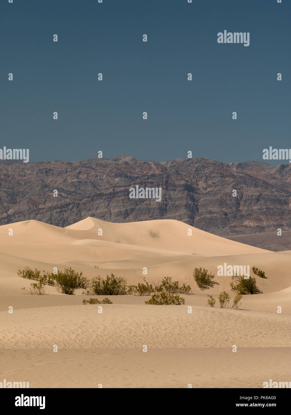 Death of flat earth hi-res stock photography and images - Alamy