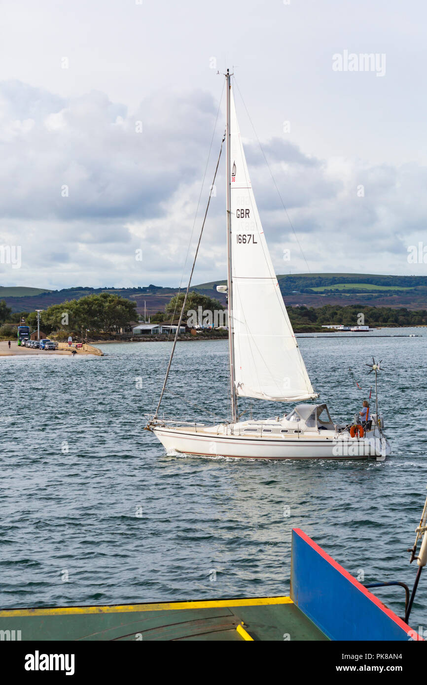 Sailing in Poole Harbour, Poole, Dorset UK in September Stock Photo - Alamy