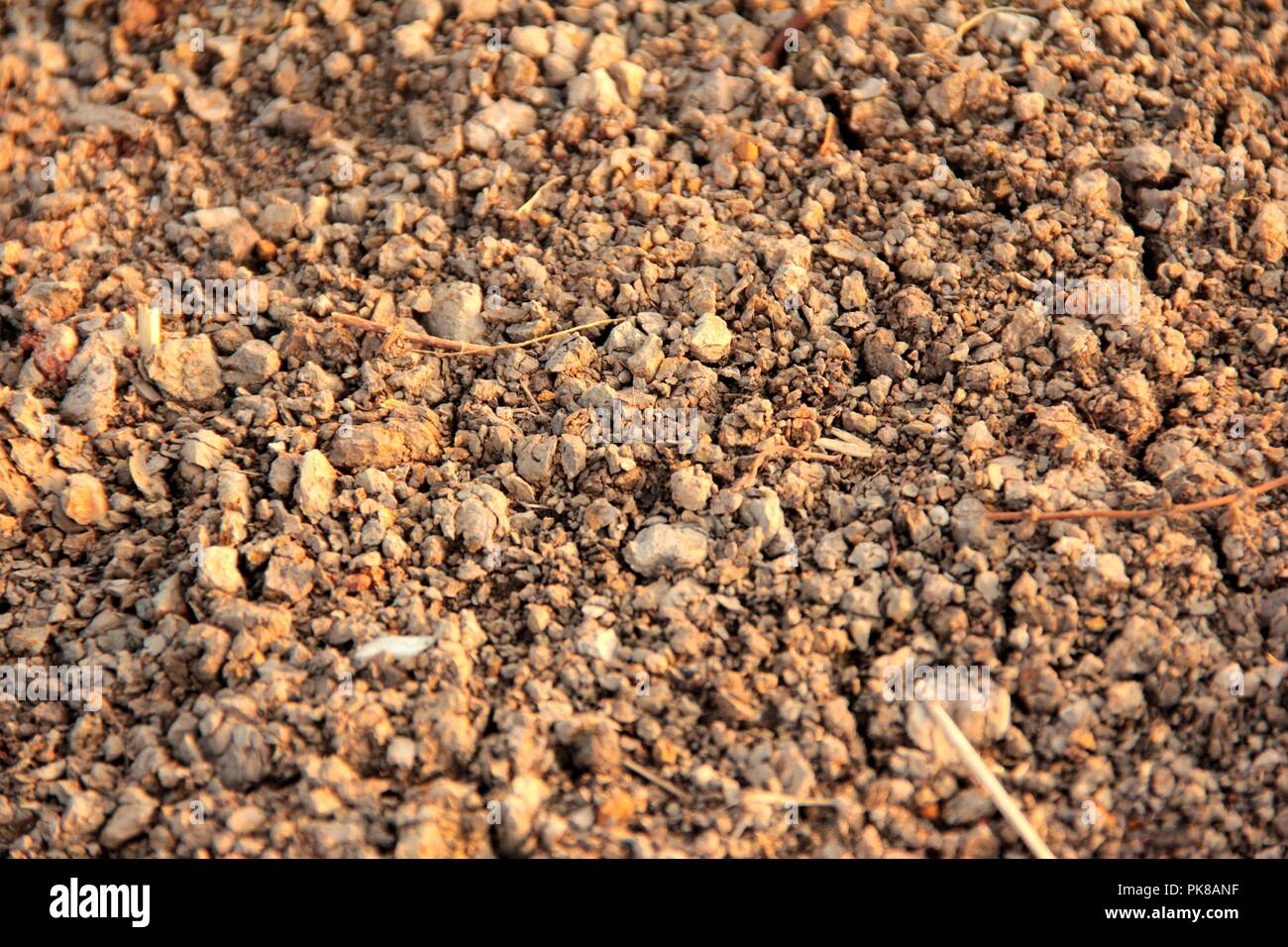 Textured background of granules soil for plant Stock Photo - Alamy