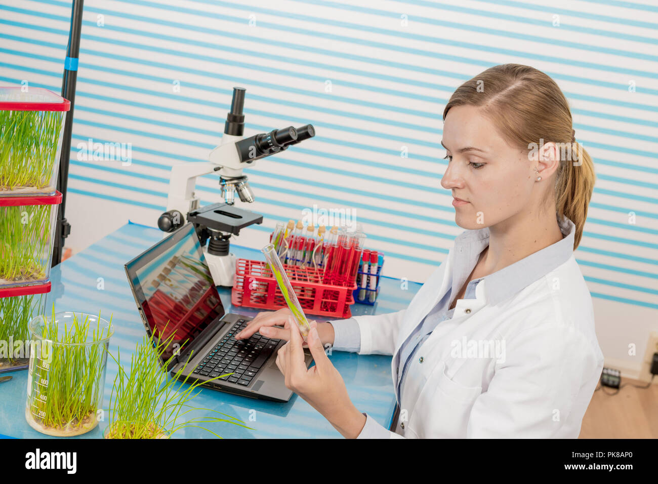 scientist with green plant in modern laboratory. woman study of genetic ...