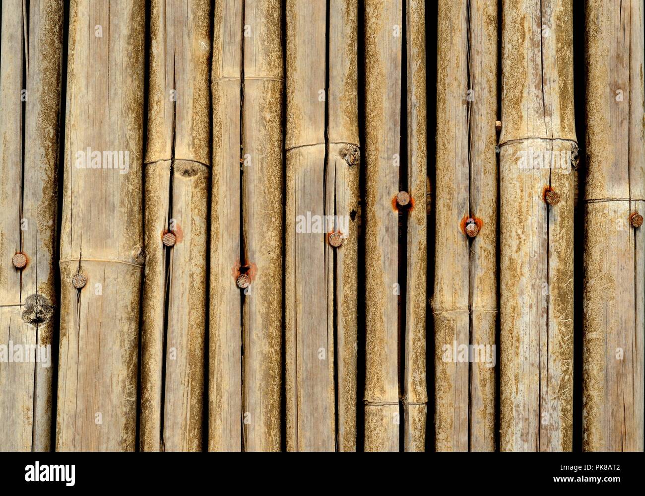 Decorframe hi-res stock photography and images - Alamy