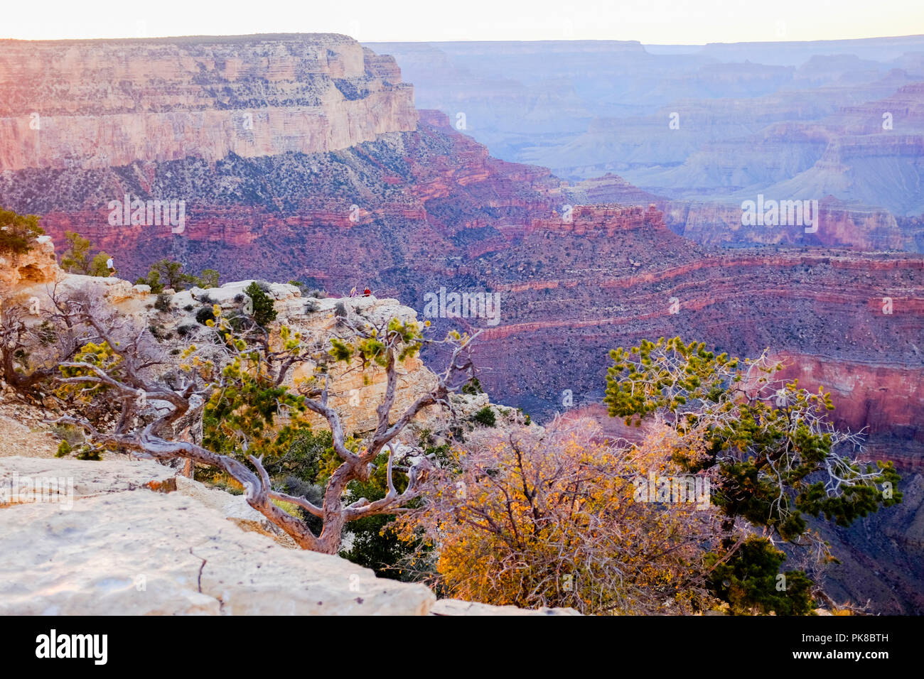 Grand Canyon at South Rim, Grand Canyon National Park, UNESCO World ...