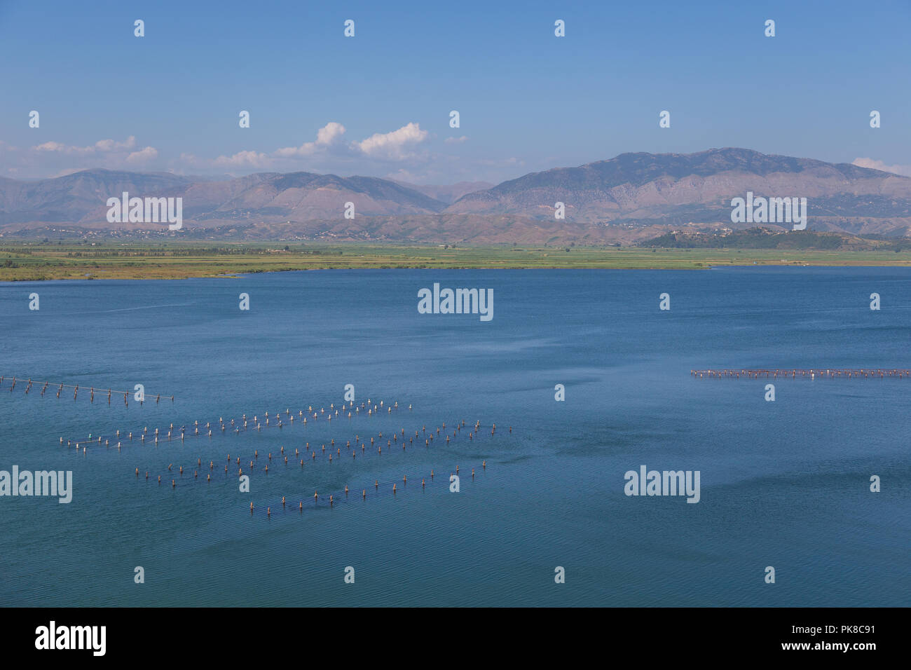 View of equipment for breeding and harvesting of mussels in the shallow ...