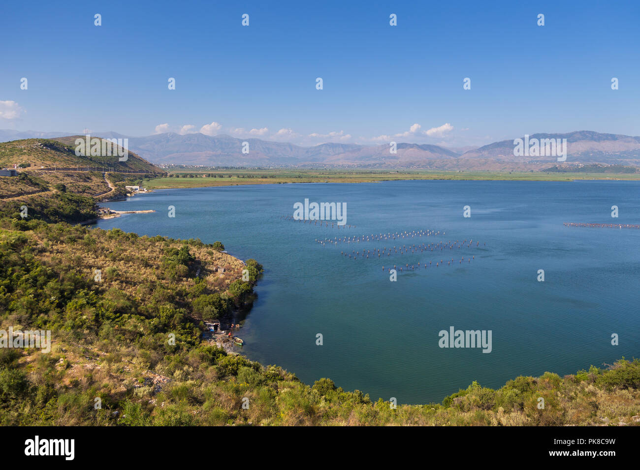 View of equipment for breeding and harvesting of mussels in the shallow ...