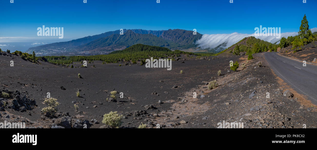 Crawling over sand hi-res stock photography and images - Alamy