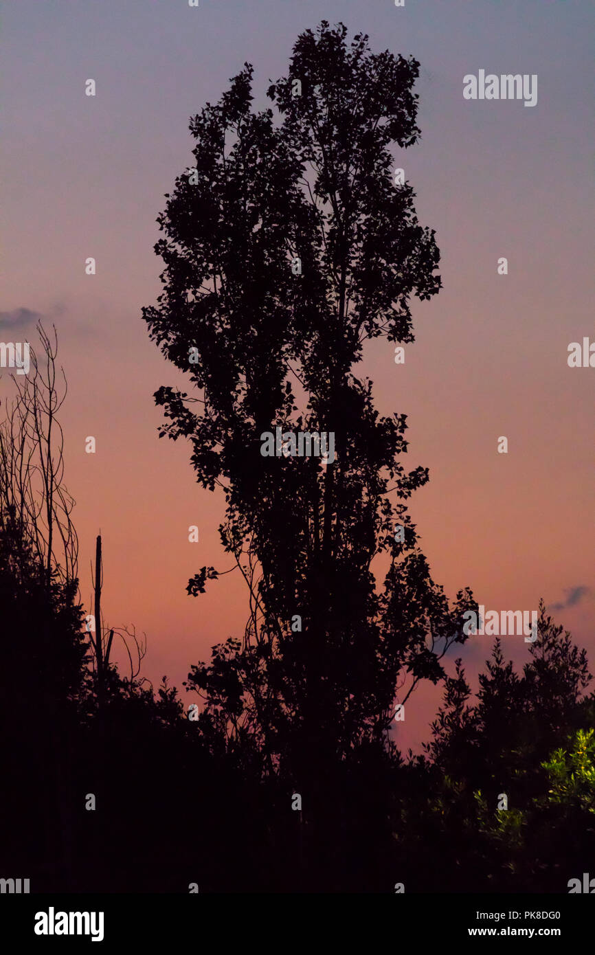 Concept or background theme for artwork Stock Photo - Alamy