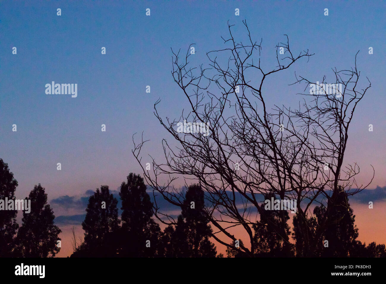 Concept or background theme for artwork Stock Photo - Alamy