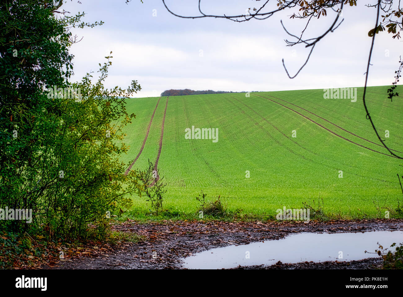 Tractor tracks leading through hi-res stock photography and images - Alamy