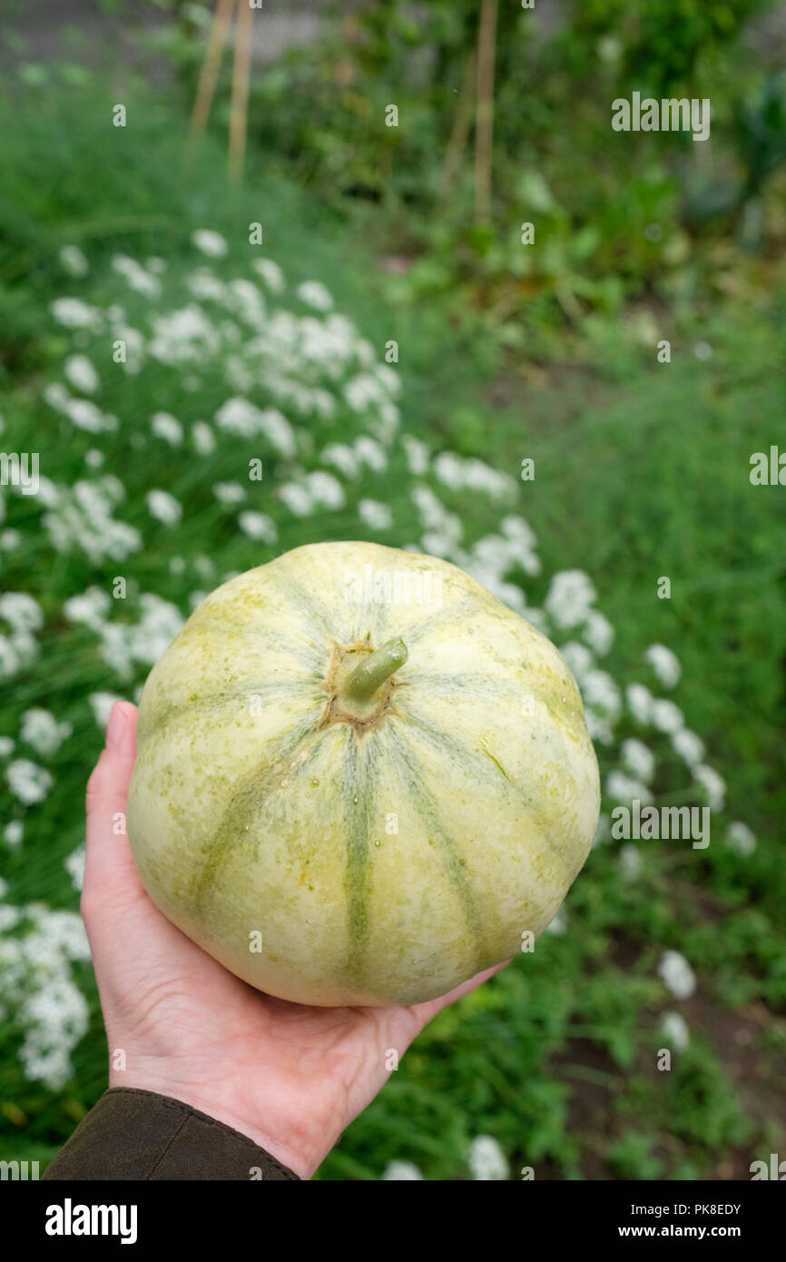 Savor charentais hi-res stock photography and images - Alamy