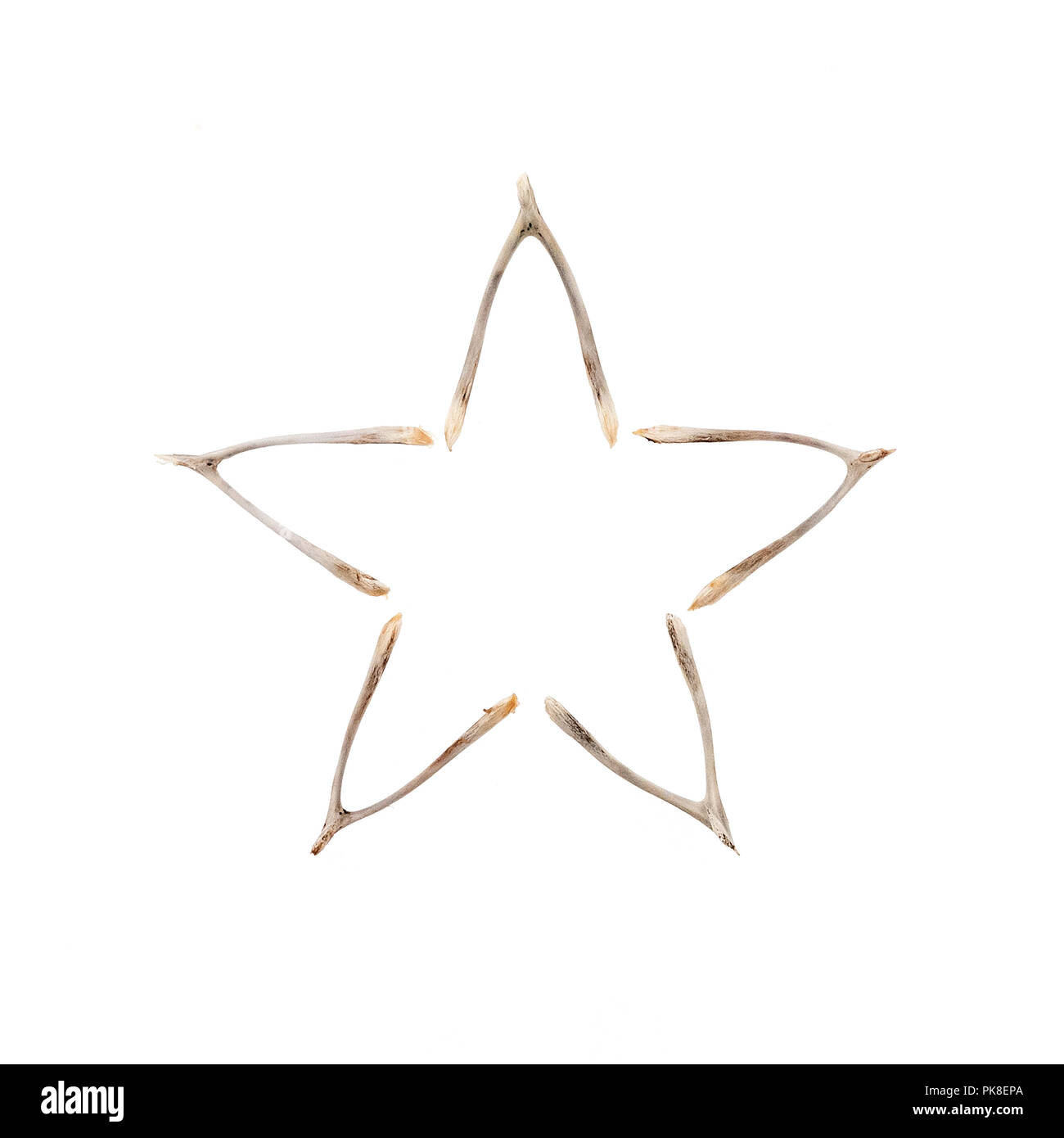 Wishbones High Resolution Stock Photography and Images - Alamy