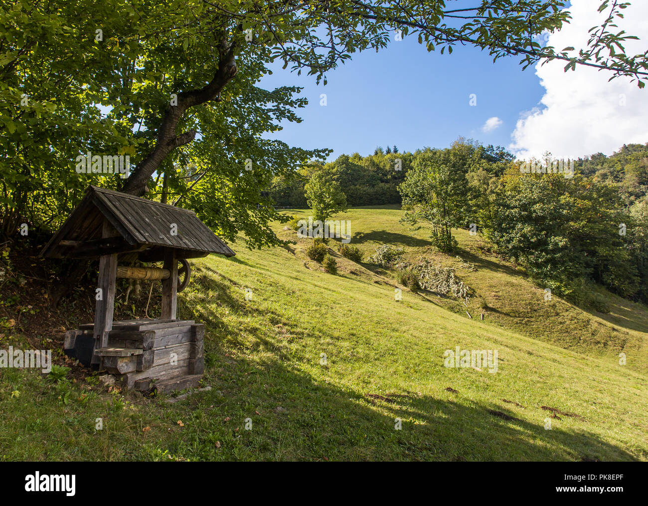 old well under the tree Stock Photo - Alamy