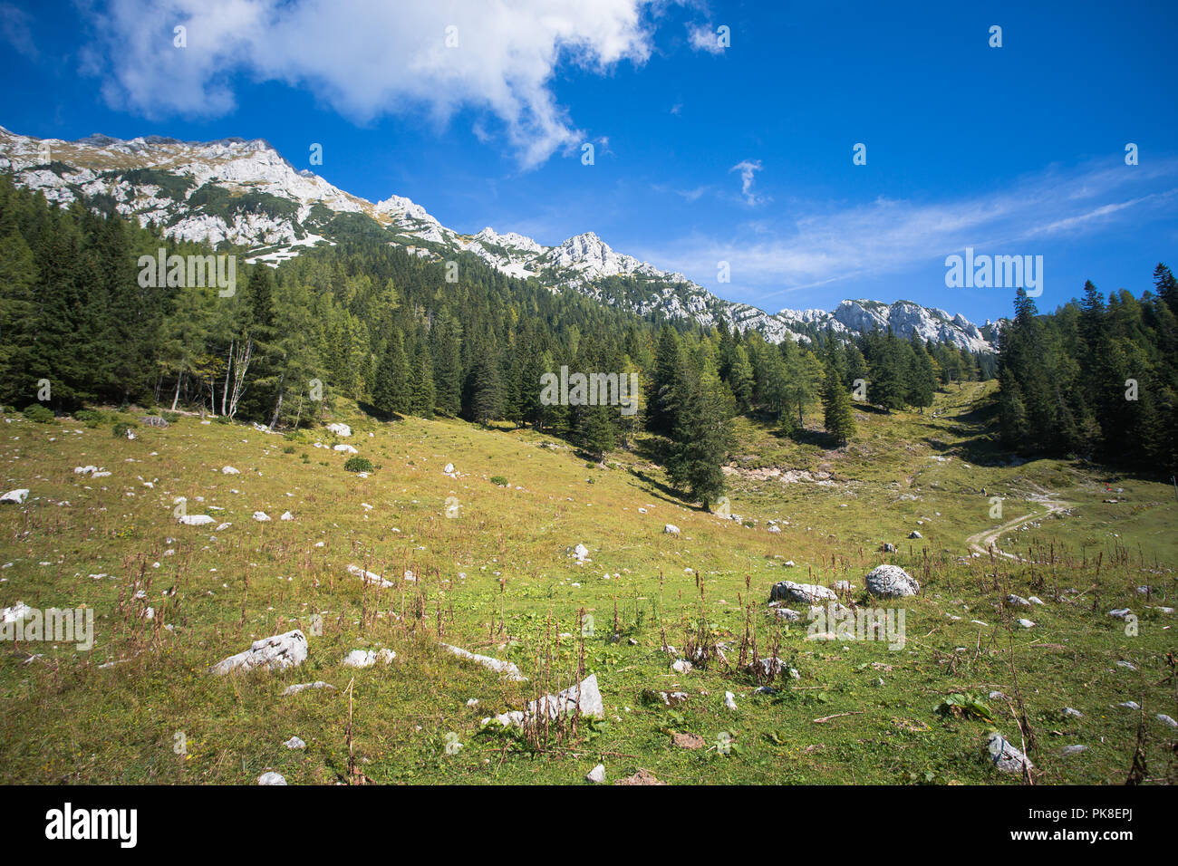 sunny mountain landscape Stock Photo - Alamy