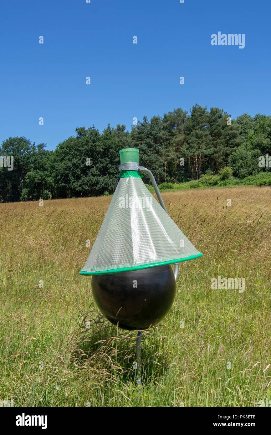 Horse fly trap hi-res stock photography and images - Alamy