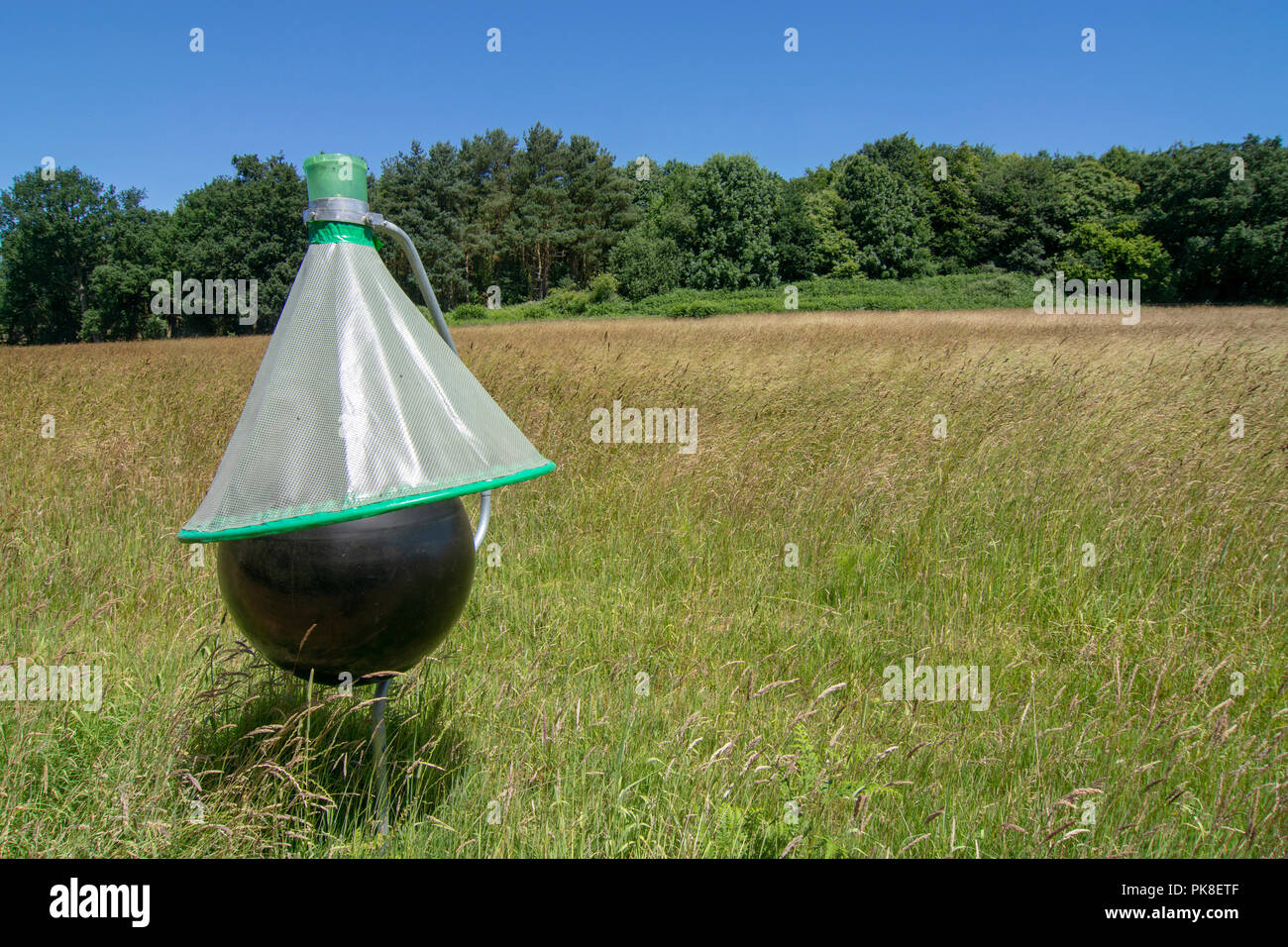 Horse fly trap hi-res stock photography and images - Alamy