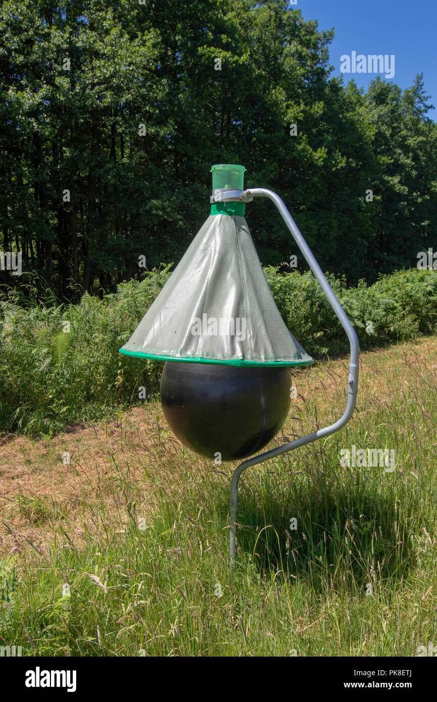 Livestock trap hi-res stock photography and images - Alamy