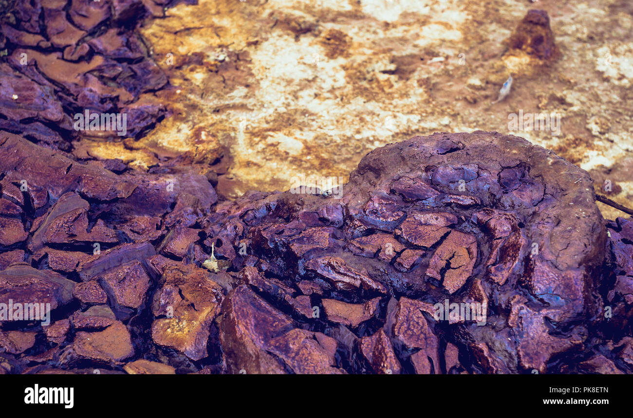 Leaf fallen on the textured and cracked floor, a place studied for its ...