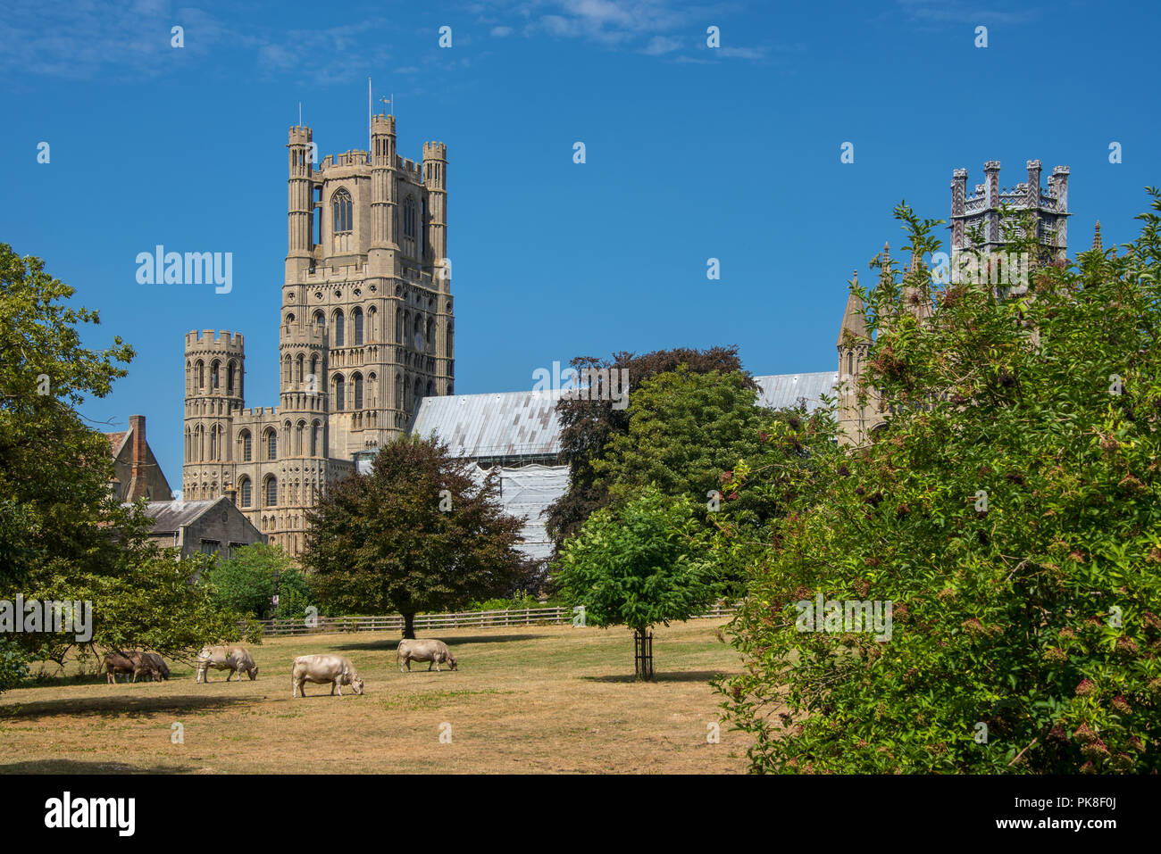 Cathedral Church of Ely Stock Photo - Alamy