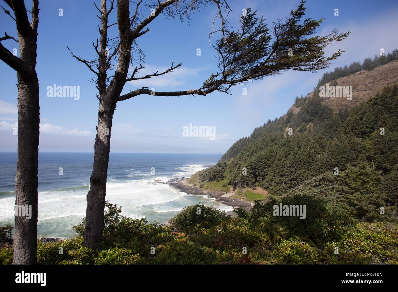 A view of the coast, from above, at Cape Perpetua in Oregon, USA Stock ...