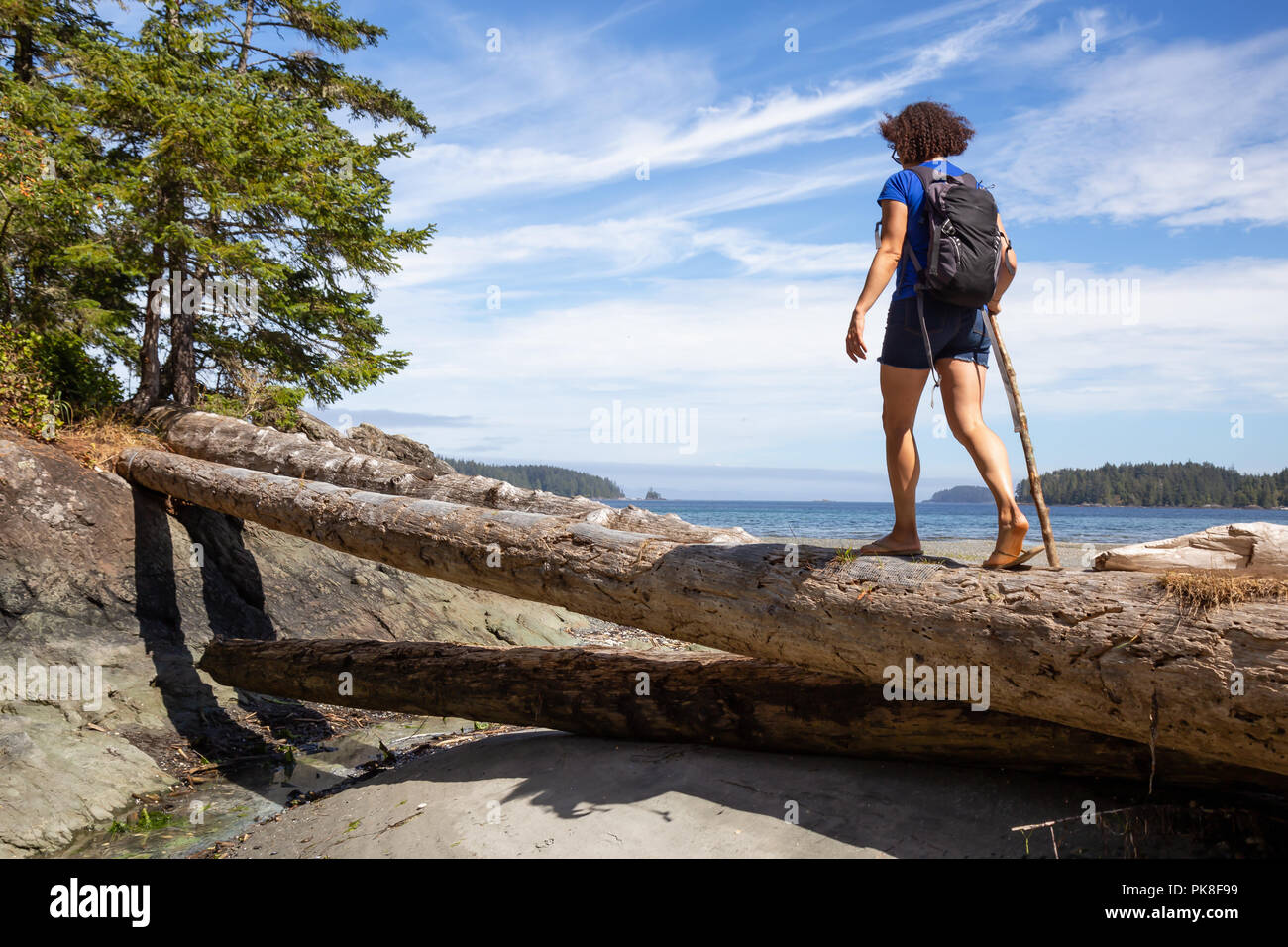 Log across trail hi-res stock photography and images - Alamy