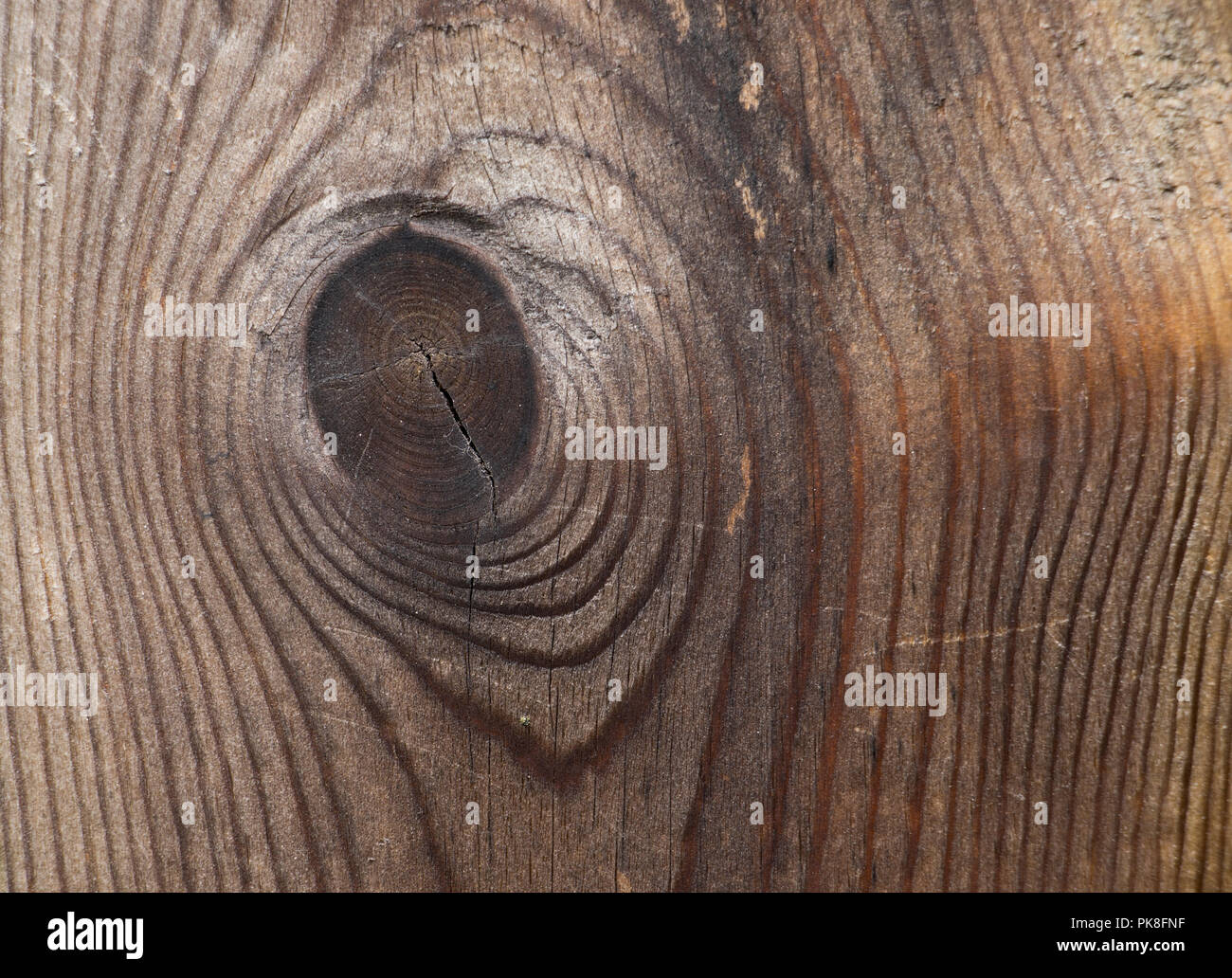 Rough Wood Knot High Resolution Stock Photography and Images - Alamy