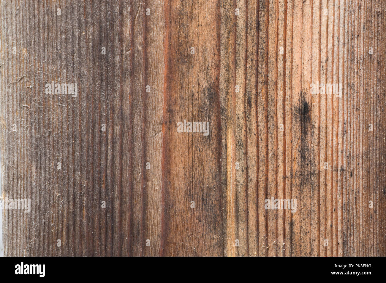 Vertical wood grain texture close up Stock Photo - Alamy