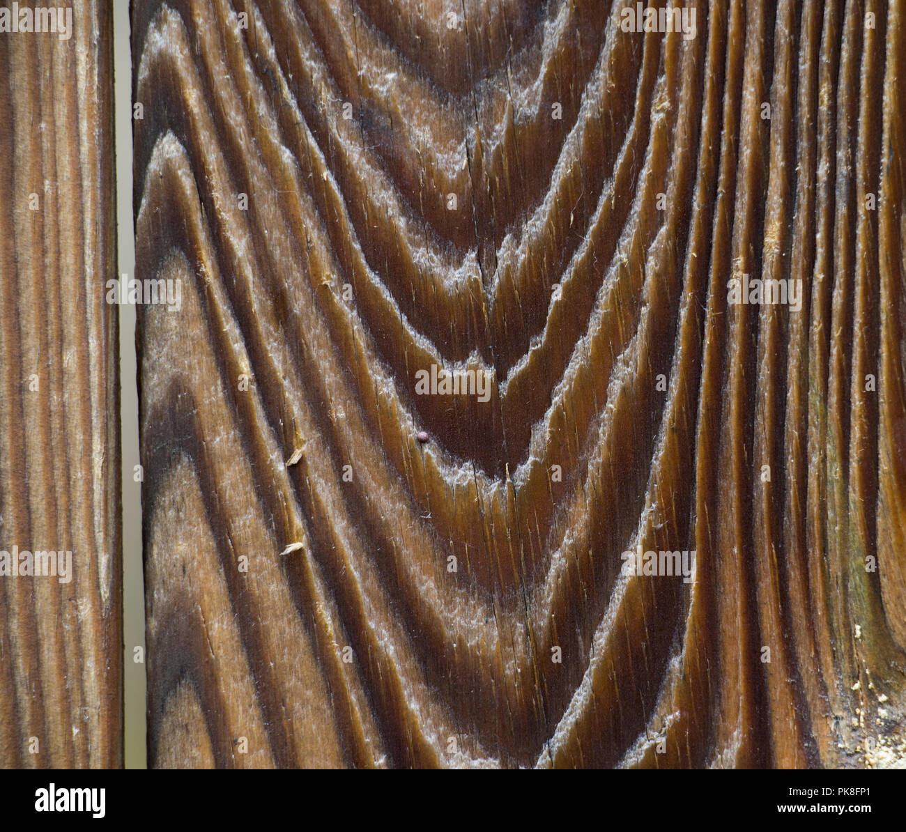 Wood grain close up. Wood pattern texture background Stock Photo - Alamy