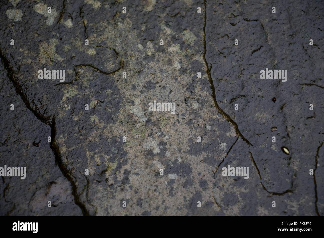 Slate stone texture. Wet rock rough texture Stock Photo - Alamy