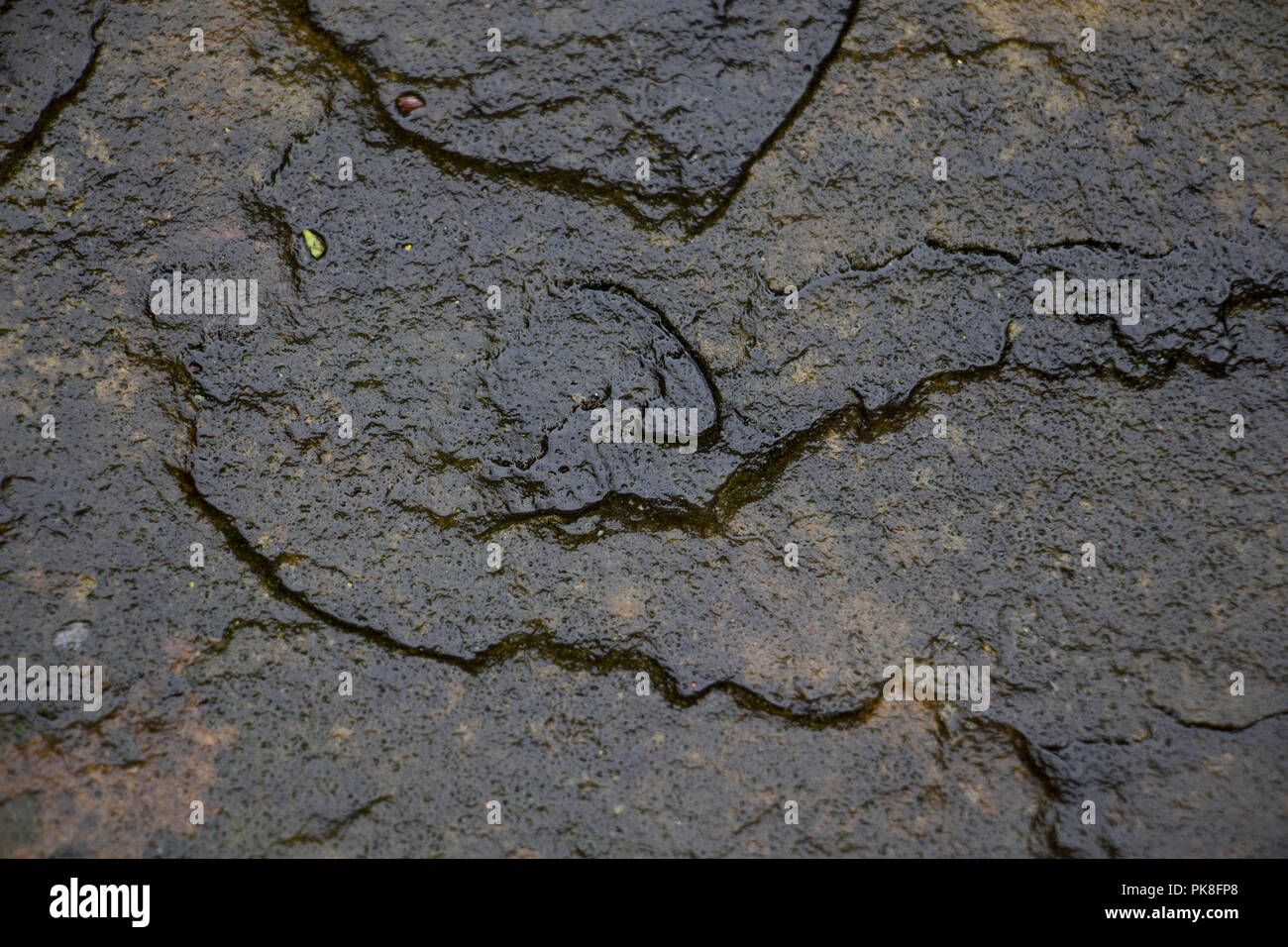 Limestone close up or wet rock. Stone texture Stock Photo - Alamy