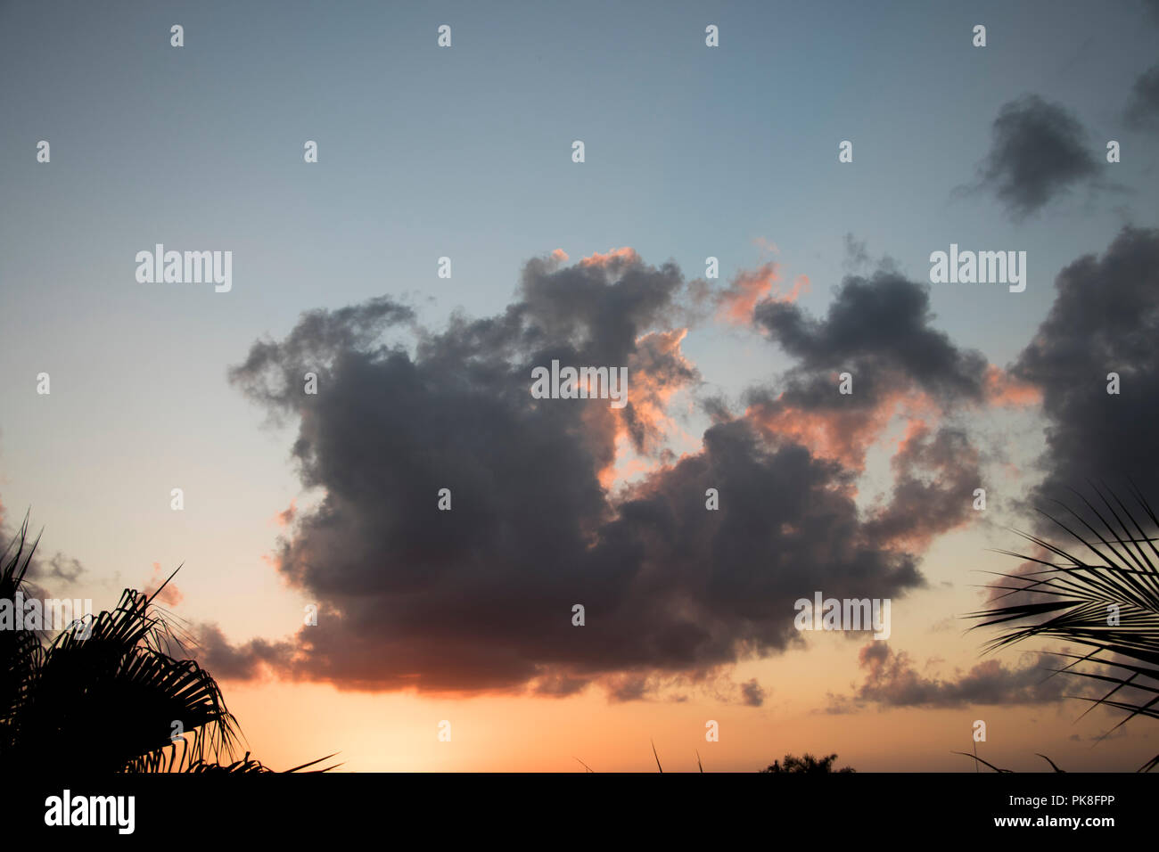 Cloud and tree tops during sunset in a tropical environment Stock Photo ...