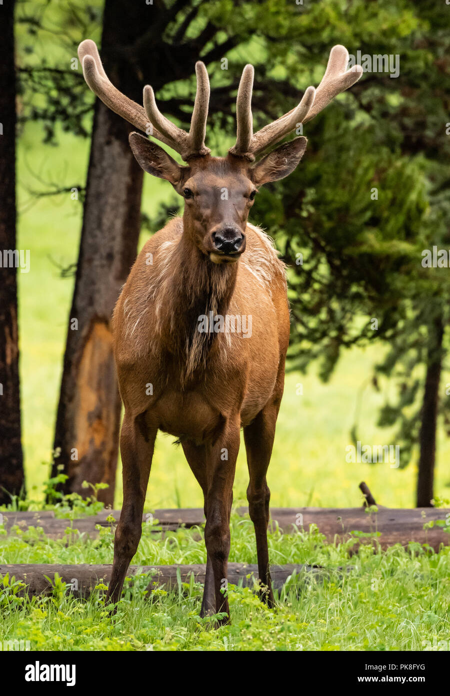 Back toward camera hi-res stock photography and images - Alamy
