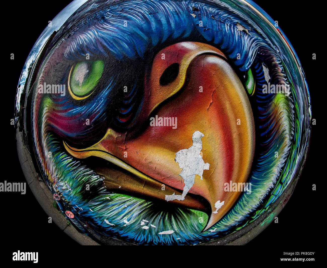 Eagle face graffiti on a building in Plateau Mont-Royal, Montreal ...