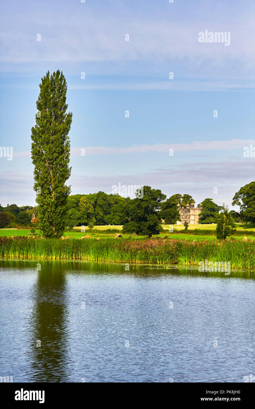 Great haywood hi-res stock photography and images - Alamy