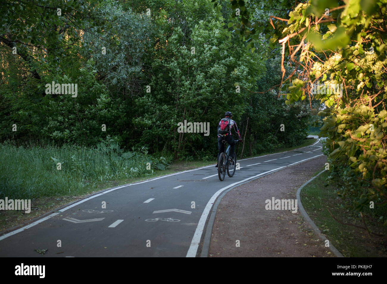 Photo of bicycle road with bicyclist among trees Stock Photo - Alamy