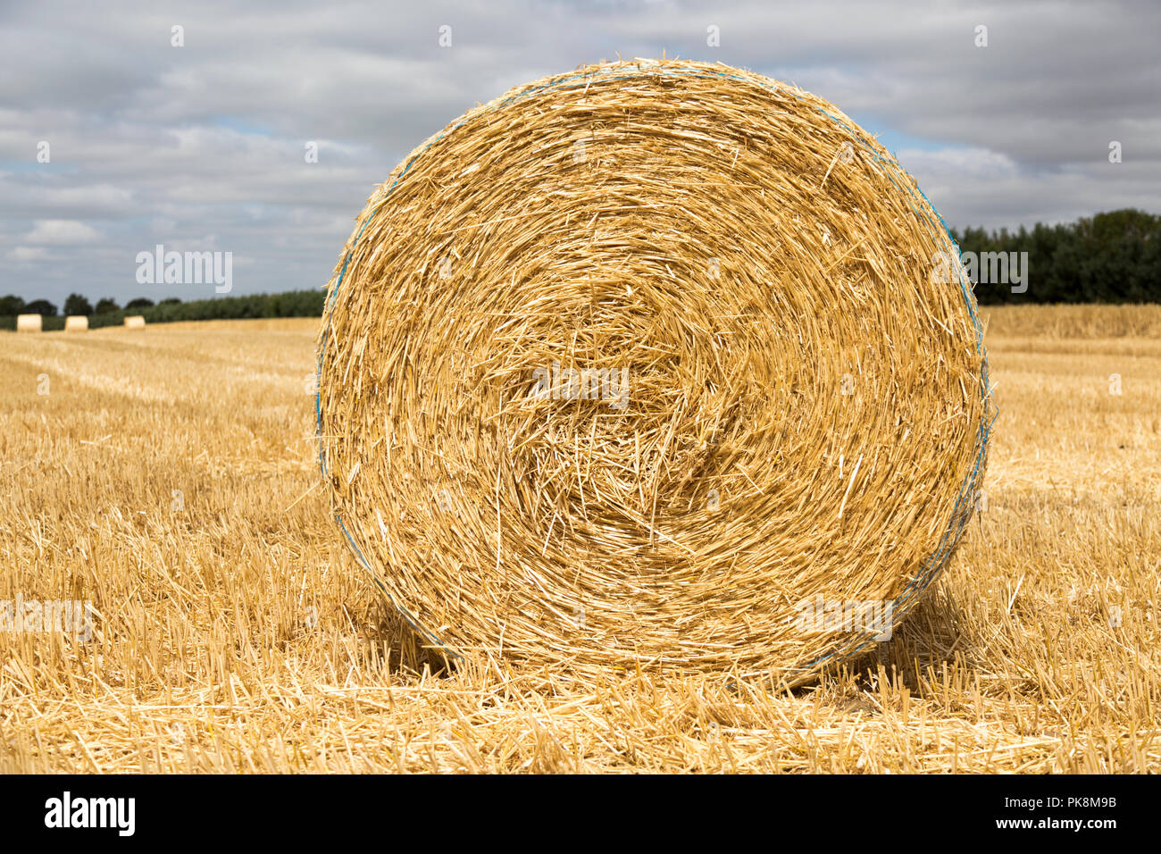 Round straw bale in flat field with overhead cumulus cloud, Sutton ...