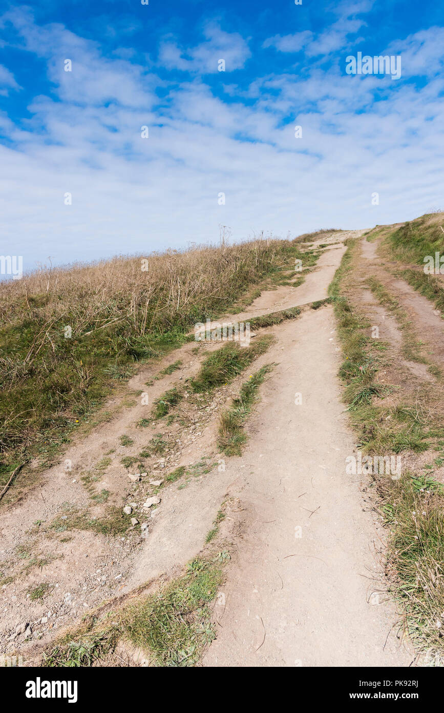 Footfall damage hi-res stock photography and images - Alamy