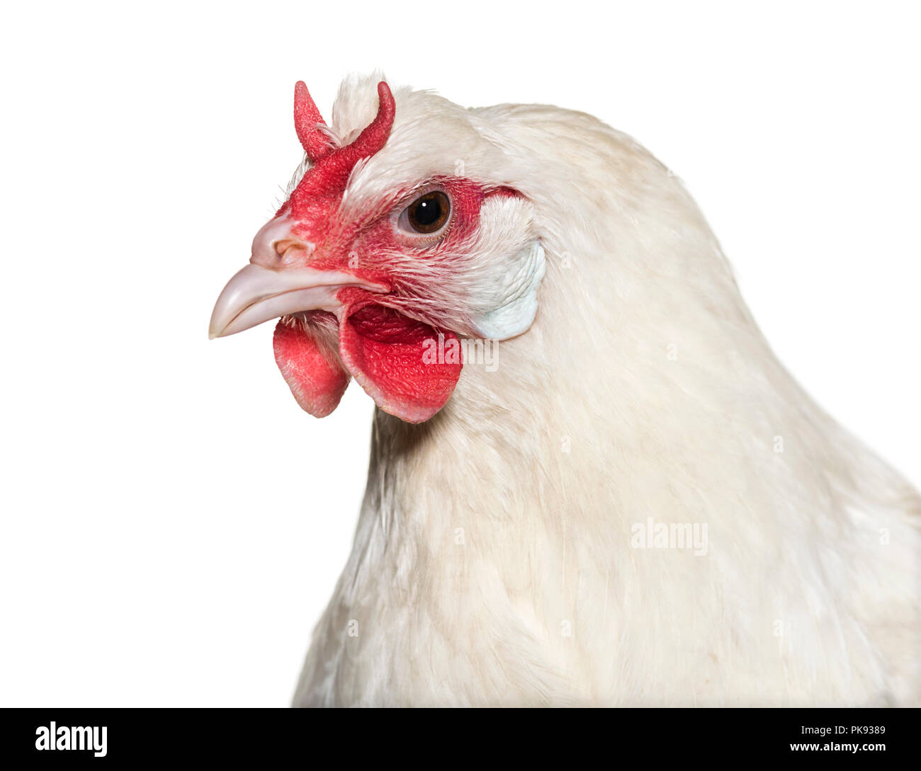 La fleche rooster hi-res stock photography and images - Alamy