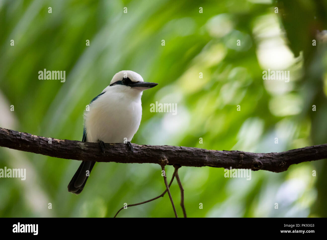 Marquesas island hi-res stock photography and images - Alamy