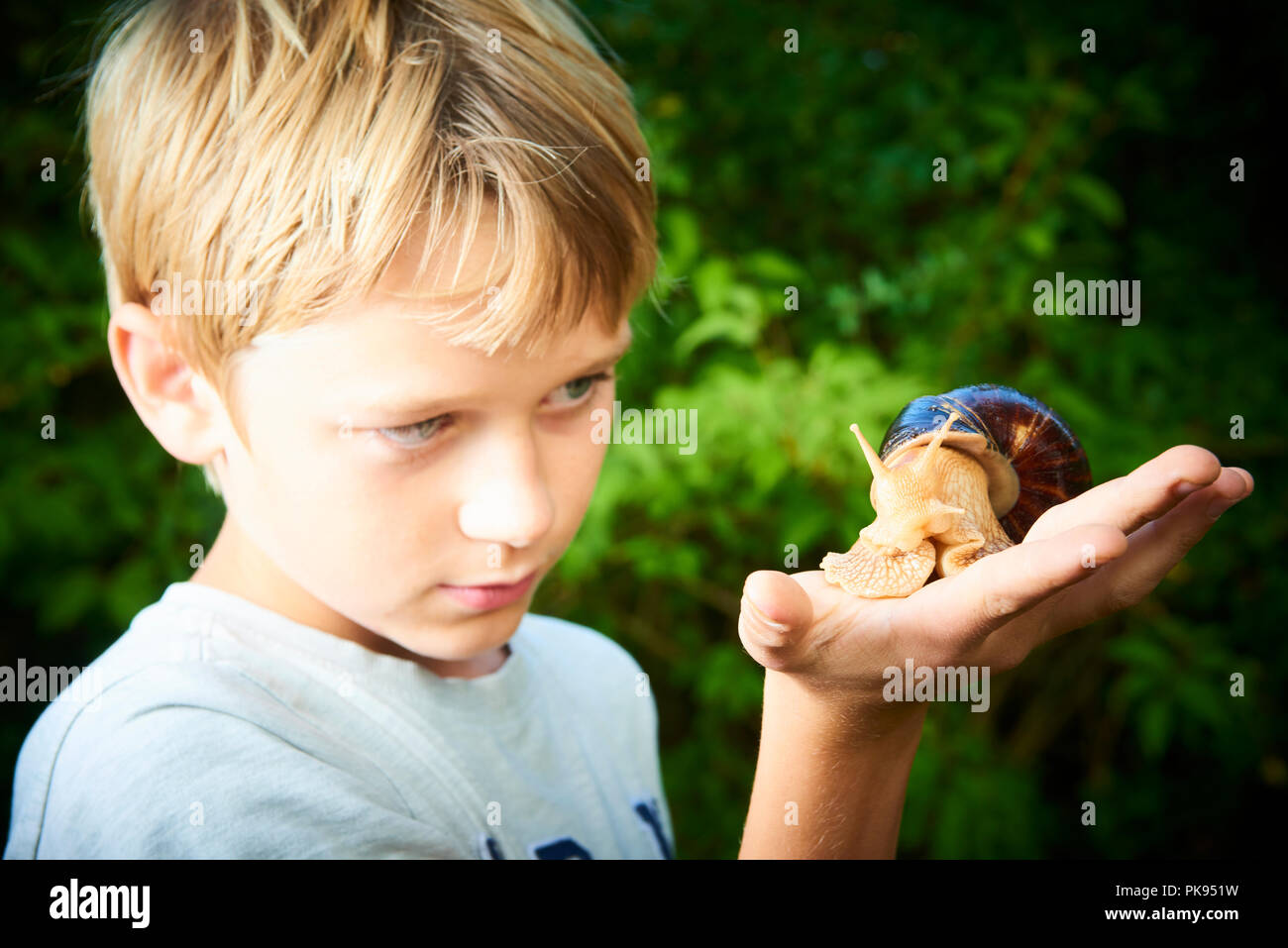 Hand holding snails hi-res stock photography and images - Alamy