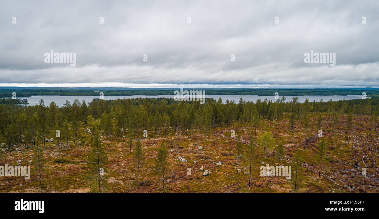 Deforesting hi-res stock photography and images - Alamy