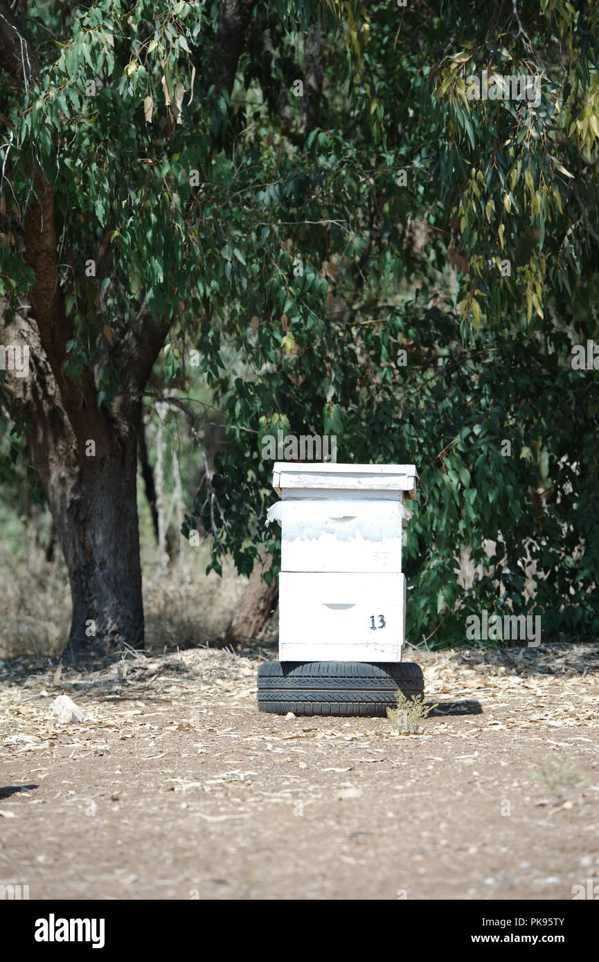 bees flying in front of a beehive Stock Photo - Alamy