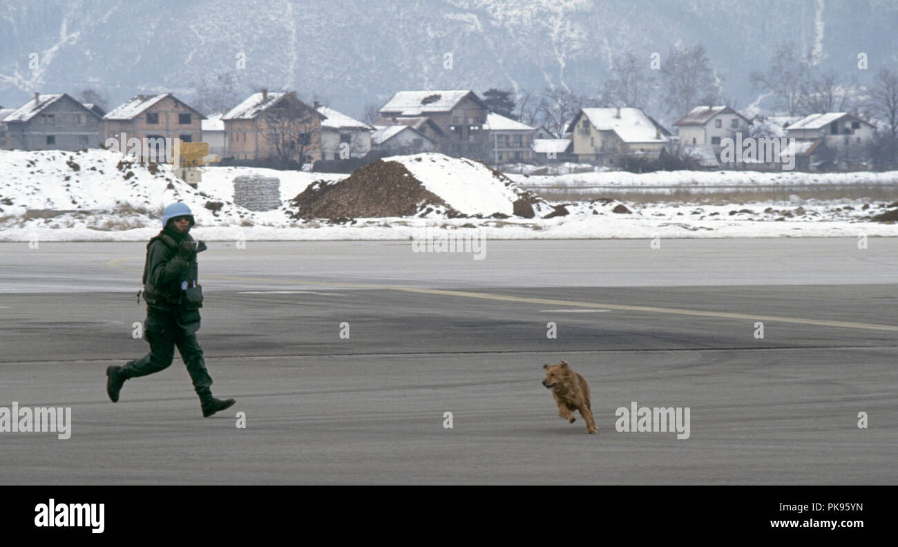 War of the stray dog hi-res stock photography and images - Alamy