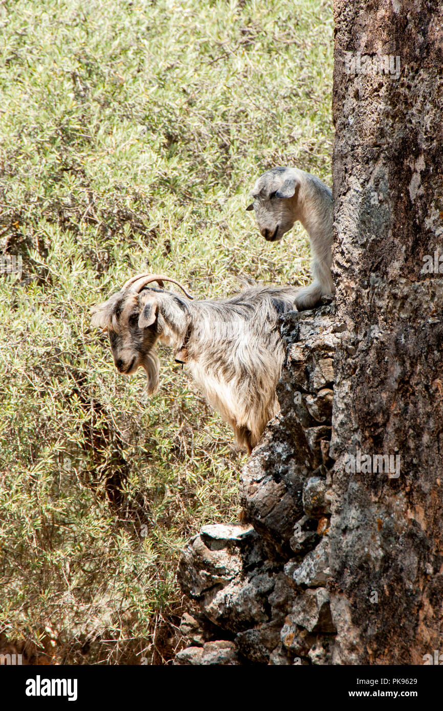 Lost village of aradena hi-res stock photography and images - Alamy