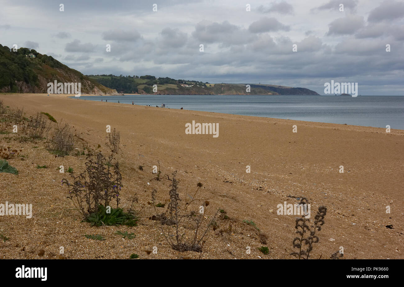 A view of Strete Gate beach, Start Bay, South Devon Stock Photo - Alamy