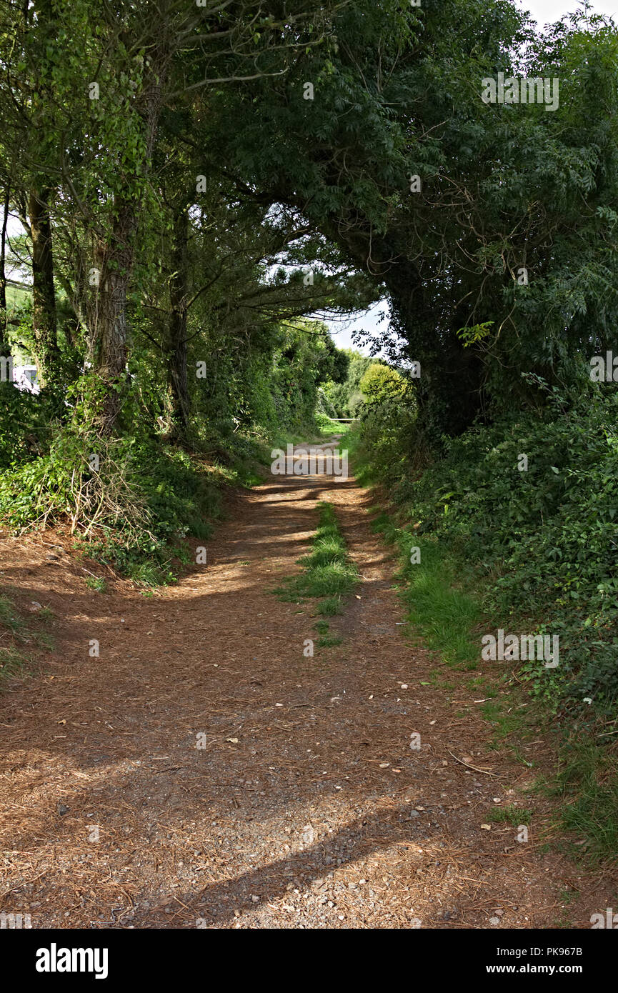 South West coastal path at Strete Gate Stock Photo - Alamy