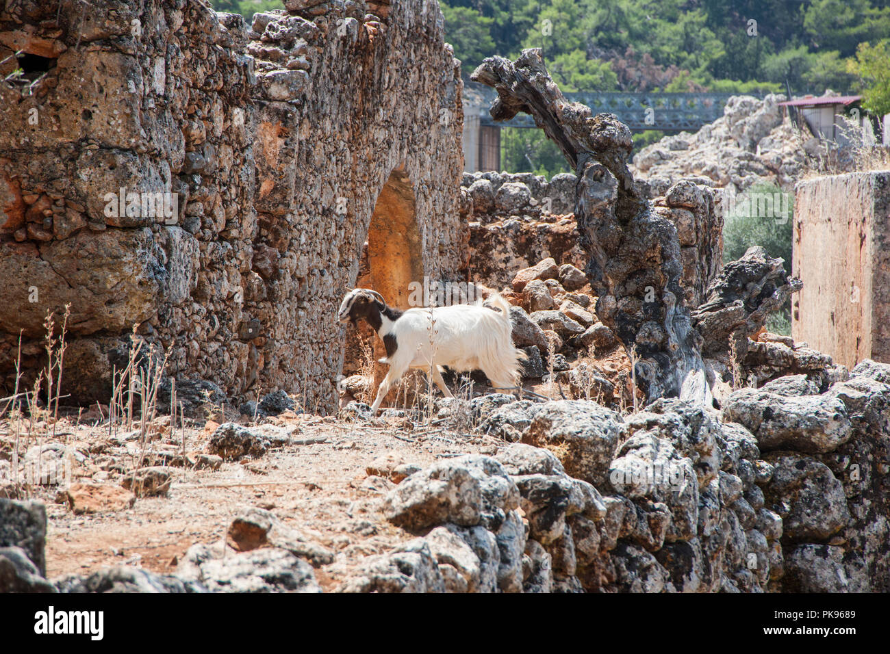 Lost village of aradena hi-res stock photography and images - Alamy