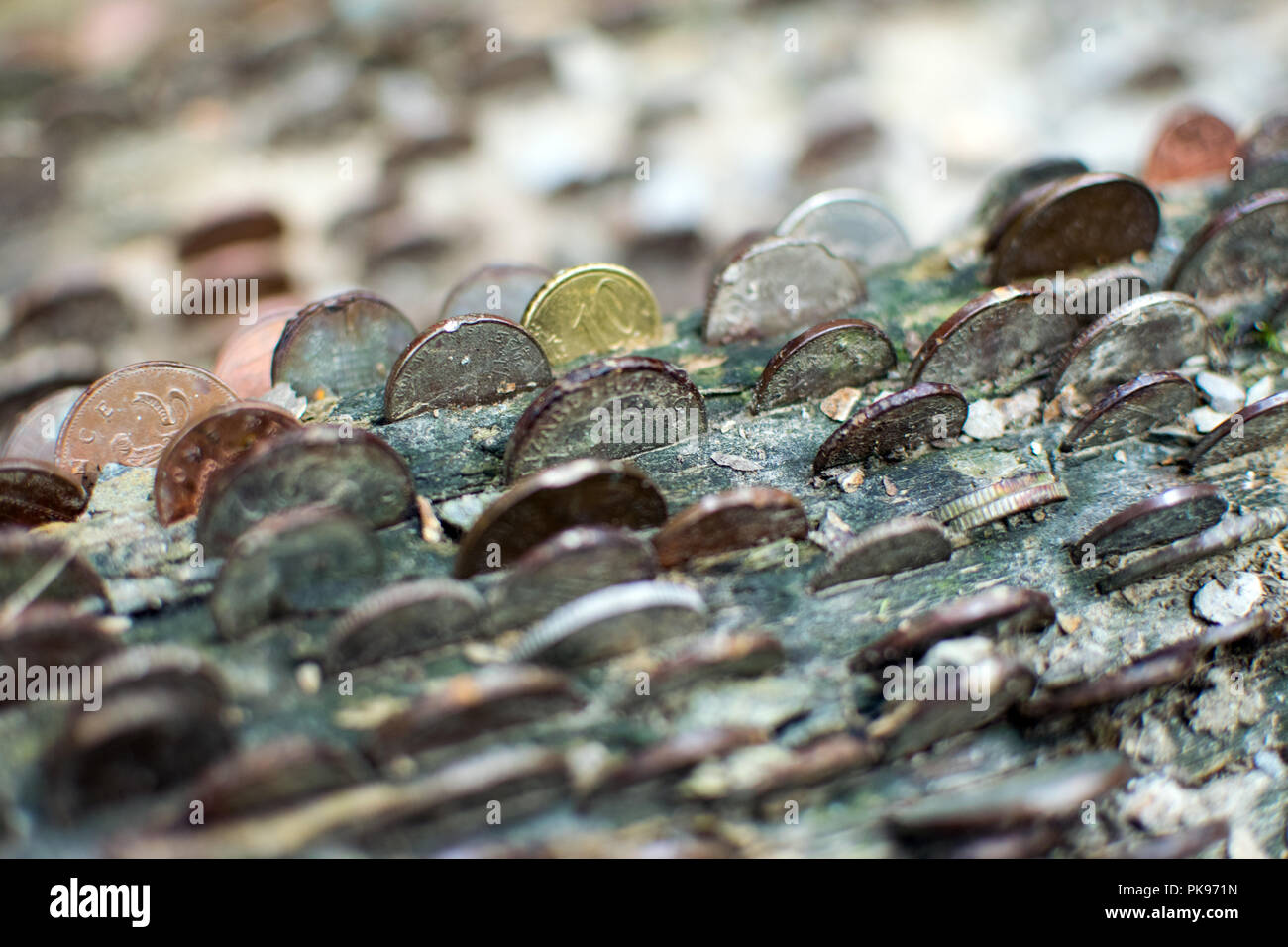 Coins in a Wish Tree Tree - St Nectans Glen, Cornwall UK Stock Photo ...