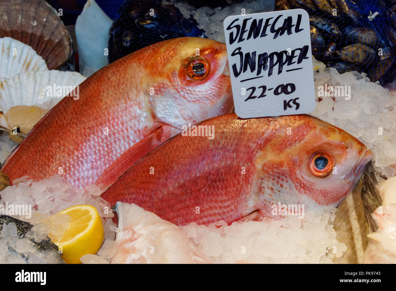 Fishmonger's stall at Borough Market in London England United Kingdom ...
