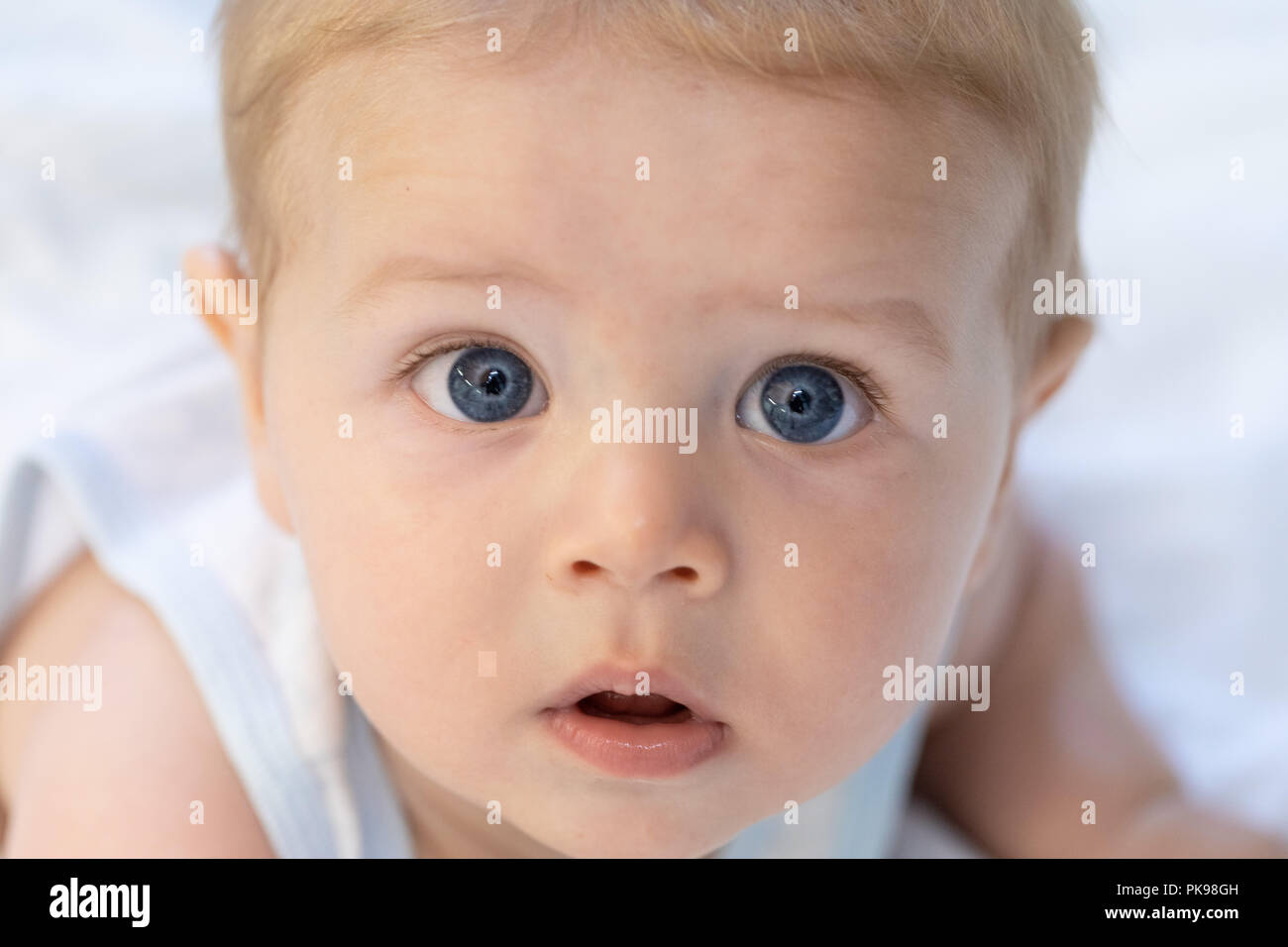 Lens and gaze hi-res stock photography and images - Alamy